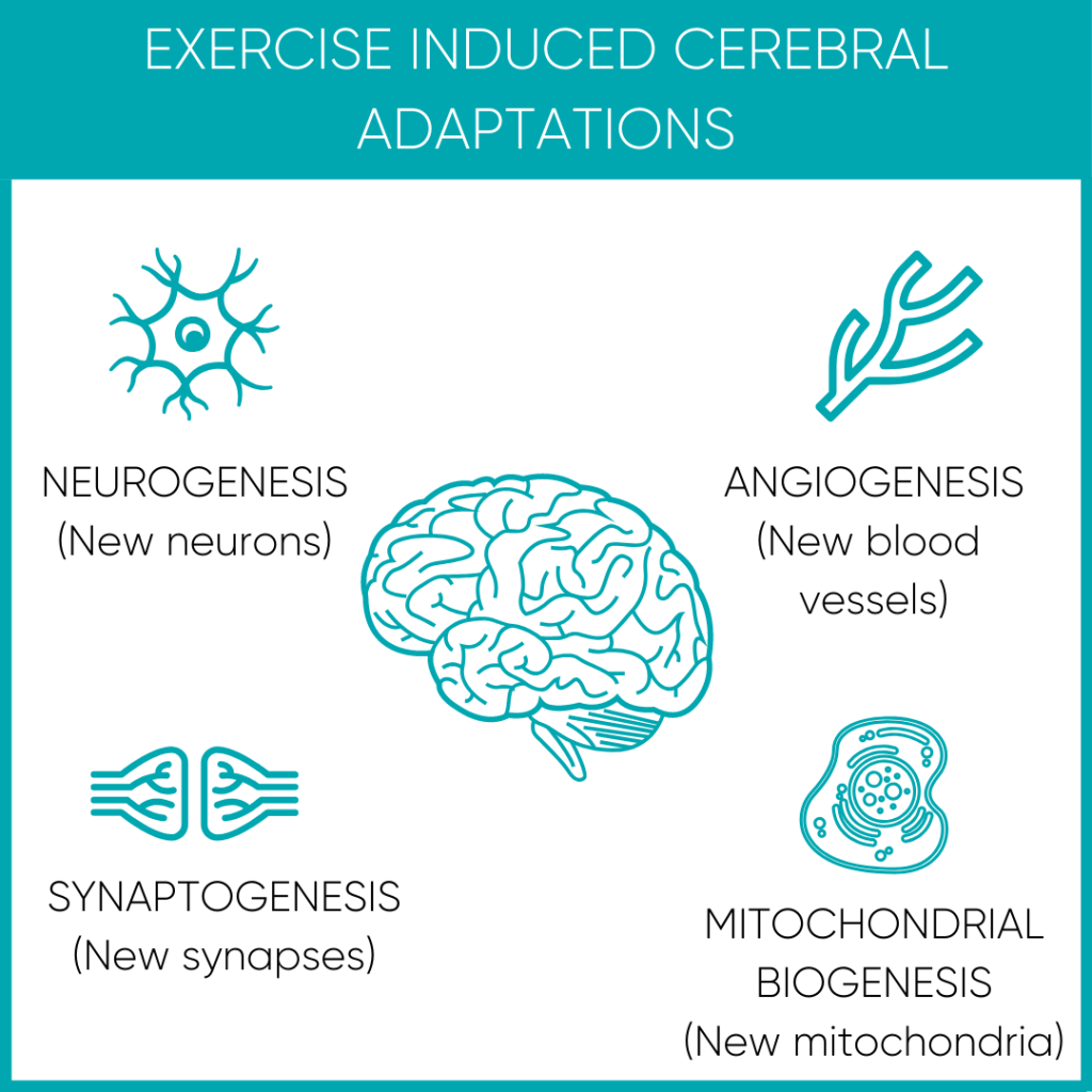 Exercise & Fluid Intelligence - Common Purpose